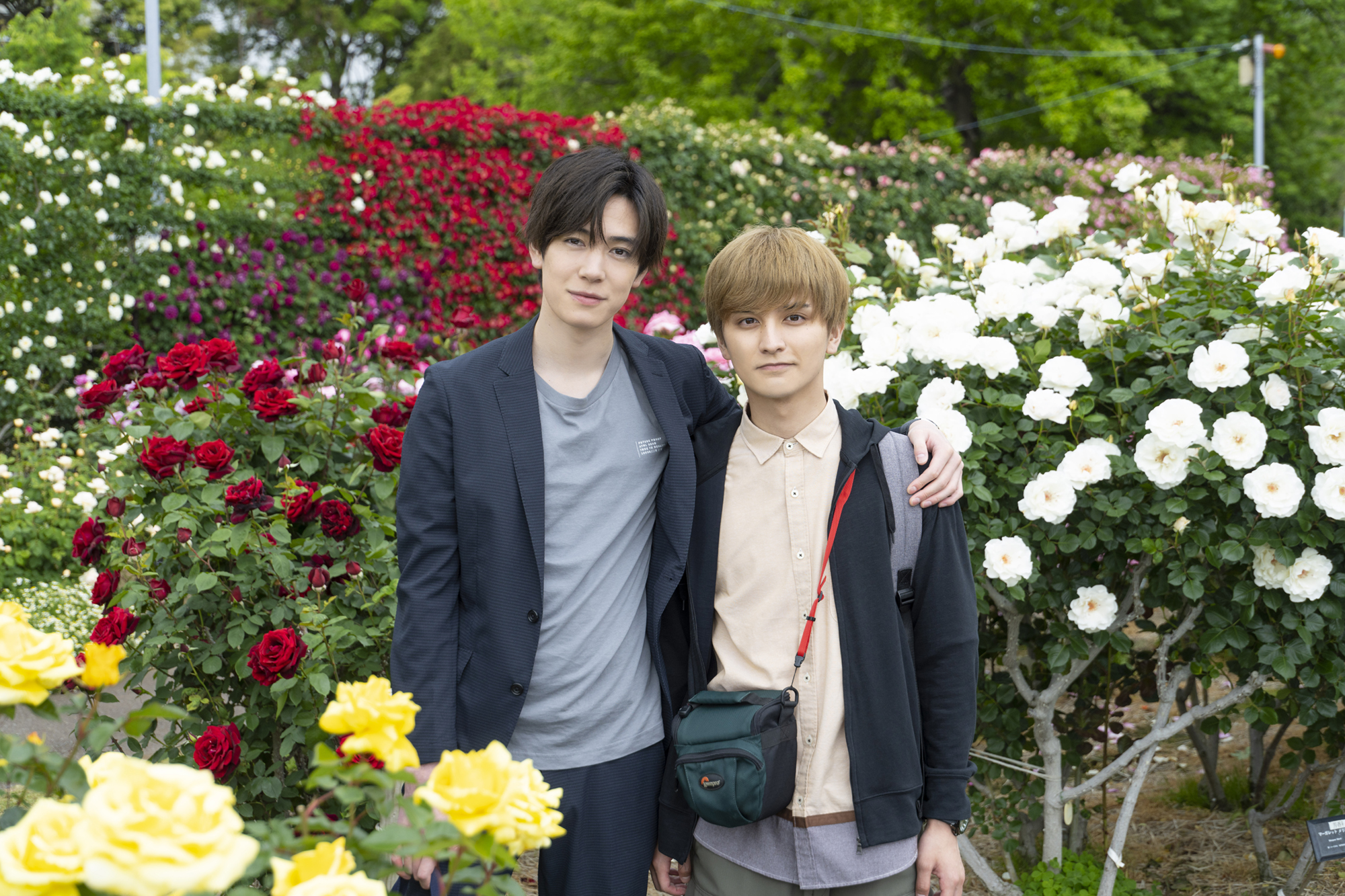 My Top 5 Japanese BL Dramas | The BL Xpress