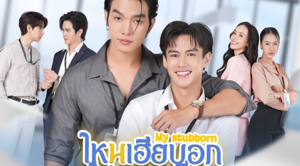 My Stubborn | The BL Xpress